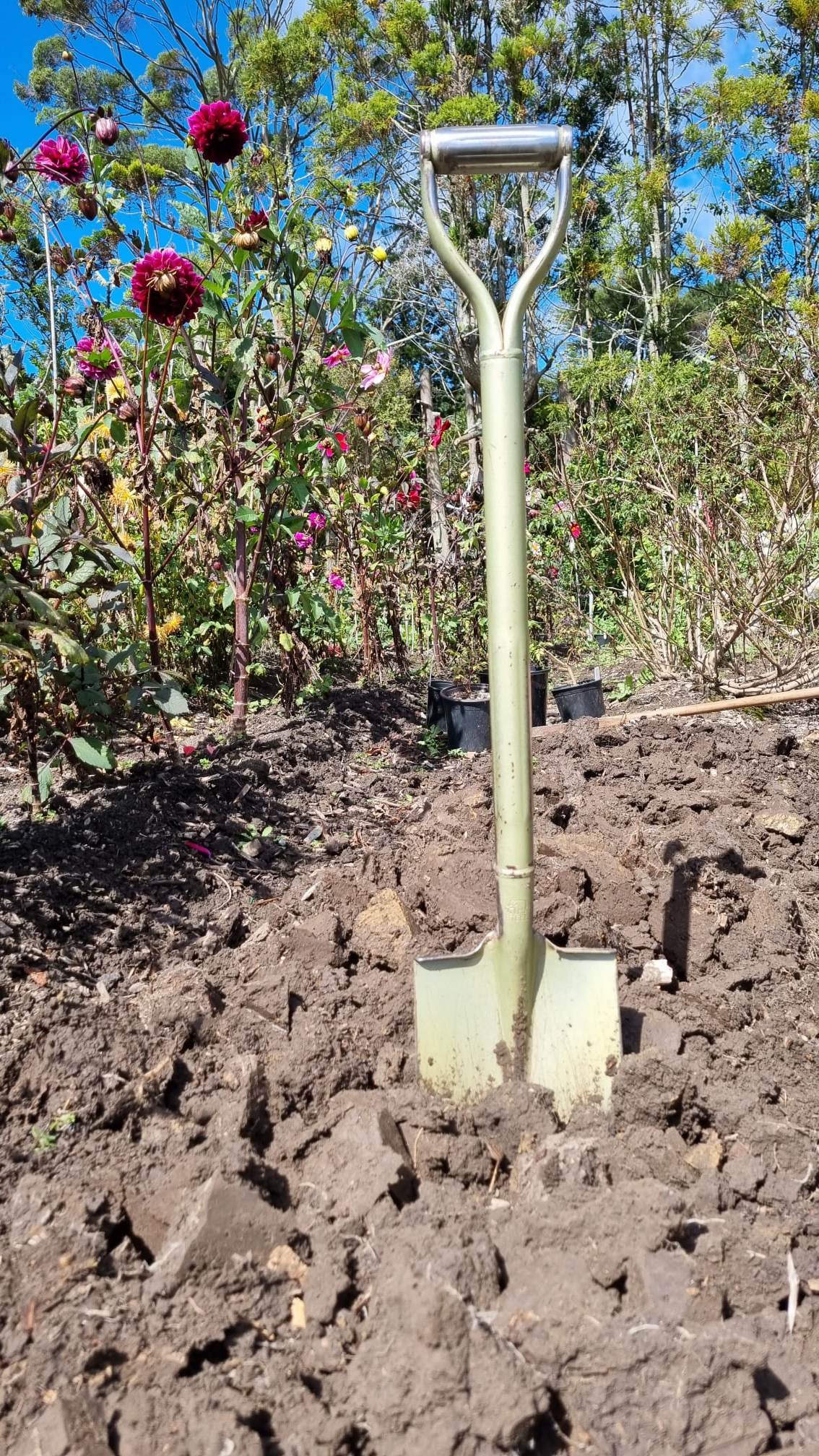 Japanese Tools – Apollo Farm